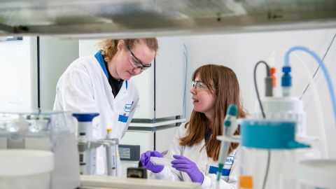 Institute of Human Biology - IHB