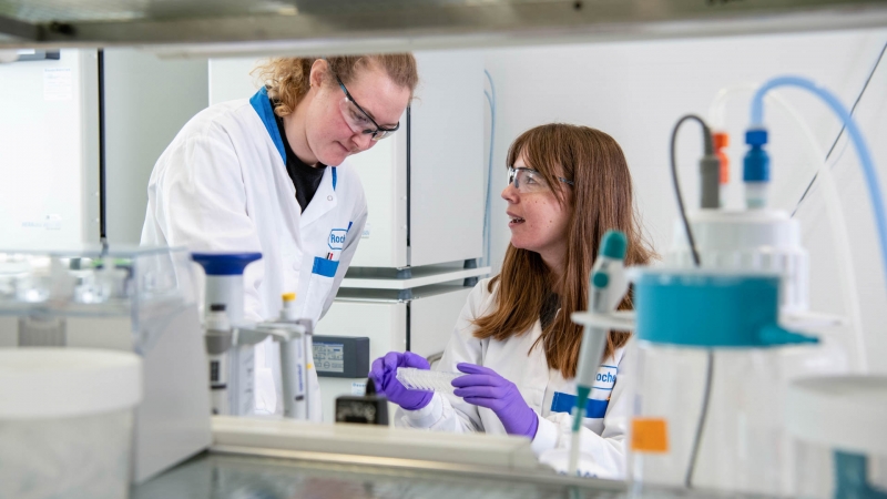 Institute of Human Biology - IHB