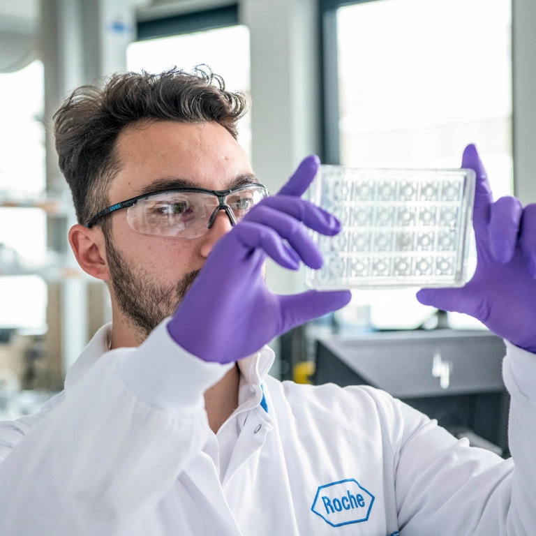 Institute of Human Biology - IHB