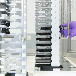 Institute of Human Biology - IHB