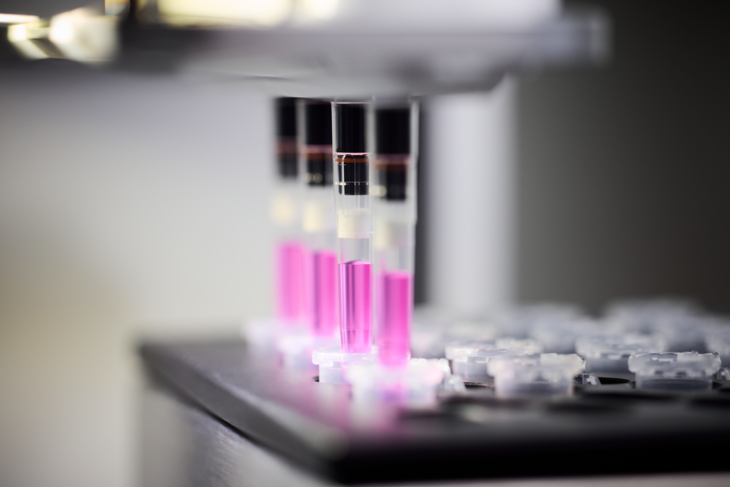 Automation Scientist - IHB